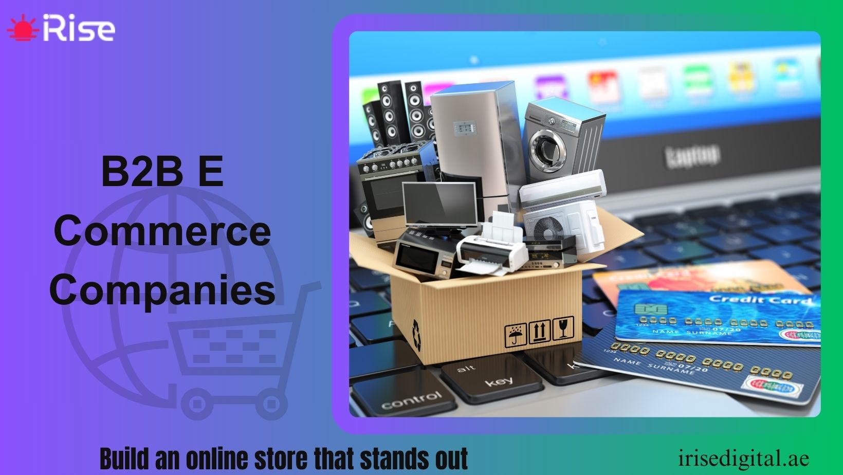 B2B E COMMERCE COMPANIES - iRise Digital