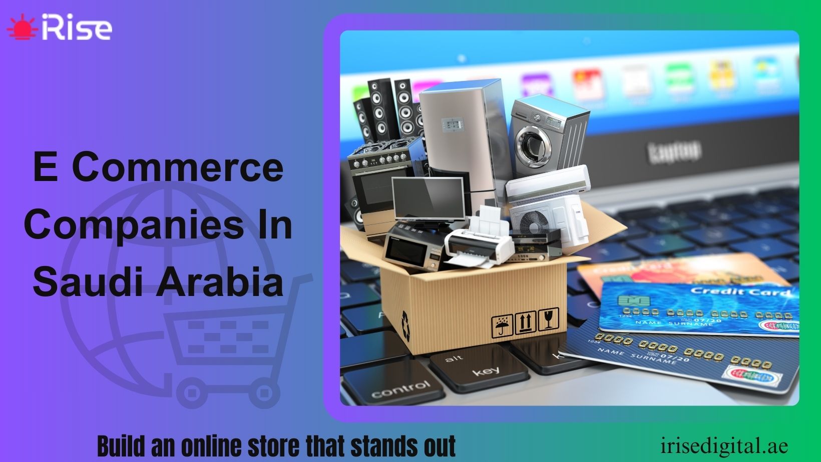 E COMMERCE COMPANIES - iRise Digital